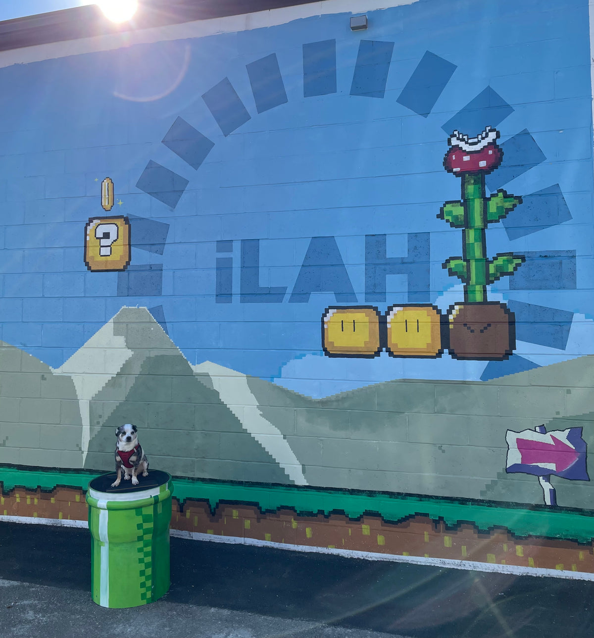 Scavenger hunt success!! | Ilah Cibis Jewelry